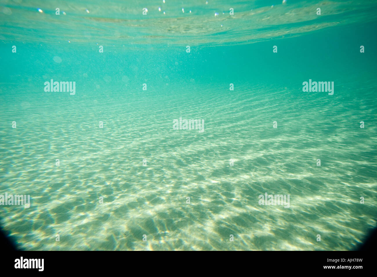 sand and sea underwater Stock Photo - Alamy