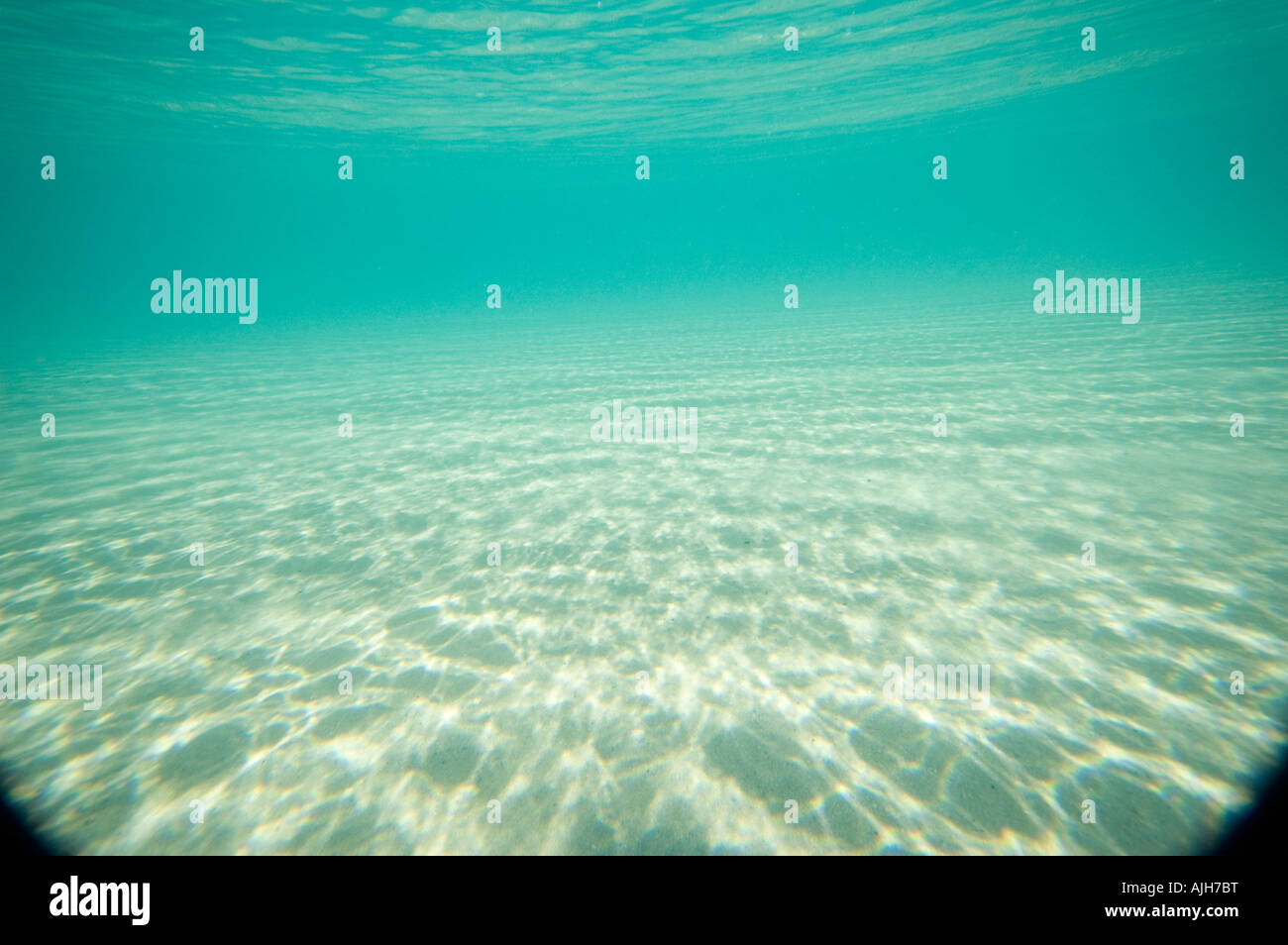 sand and sea underwater Stock Photo - Alamy
