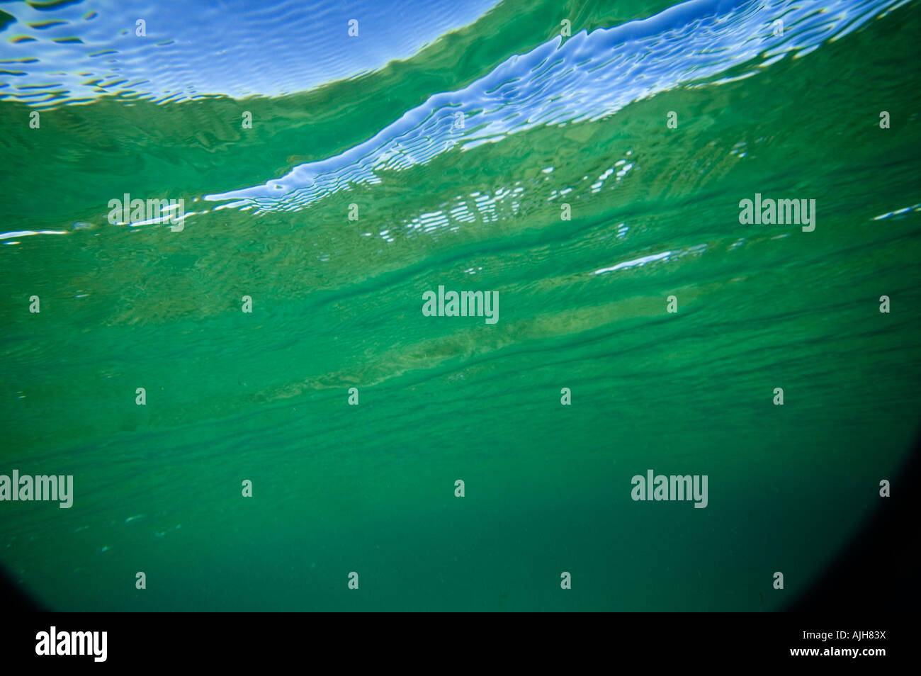 Shallow water dive Cut Out Stock Images & Pictures - Alamy