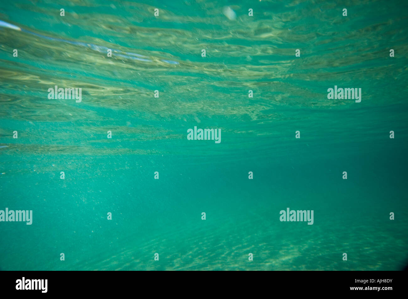 deep green water Stock Photo - Alamy