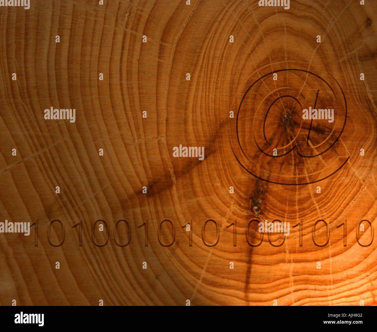 Email sign and numbers on a cross section of tree Stock Photo - Alamy