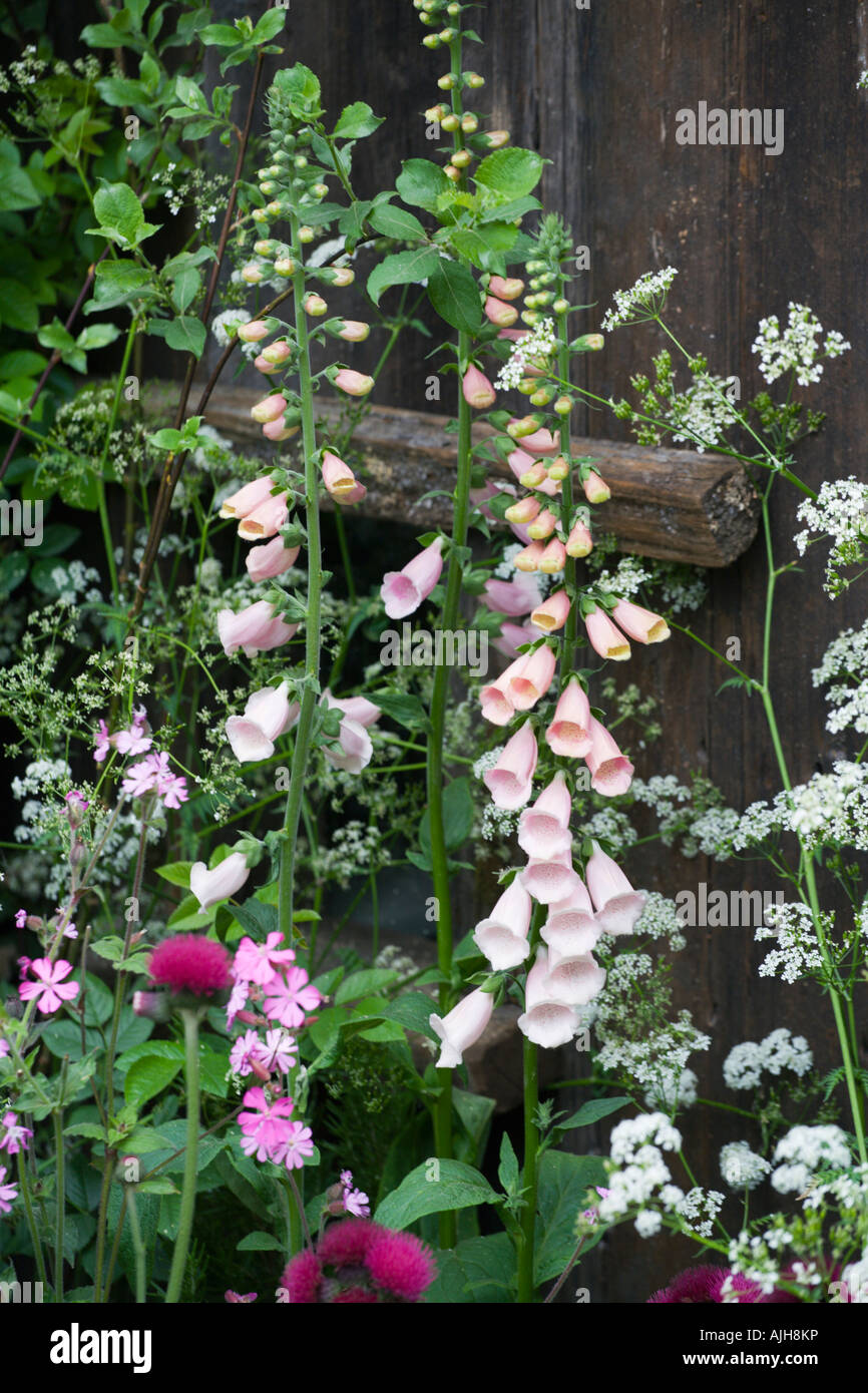 Chelsea Flower Show 2007 Fetzer Sustainable Winery garden Kate Frey ...