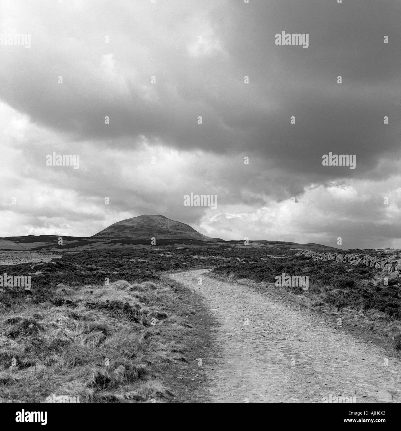 West lomond hill fife scotland hi-res stock photography and images - Alamy