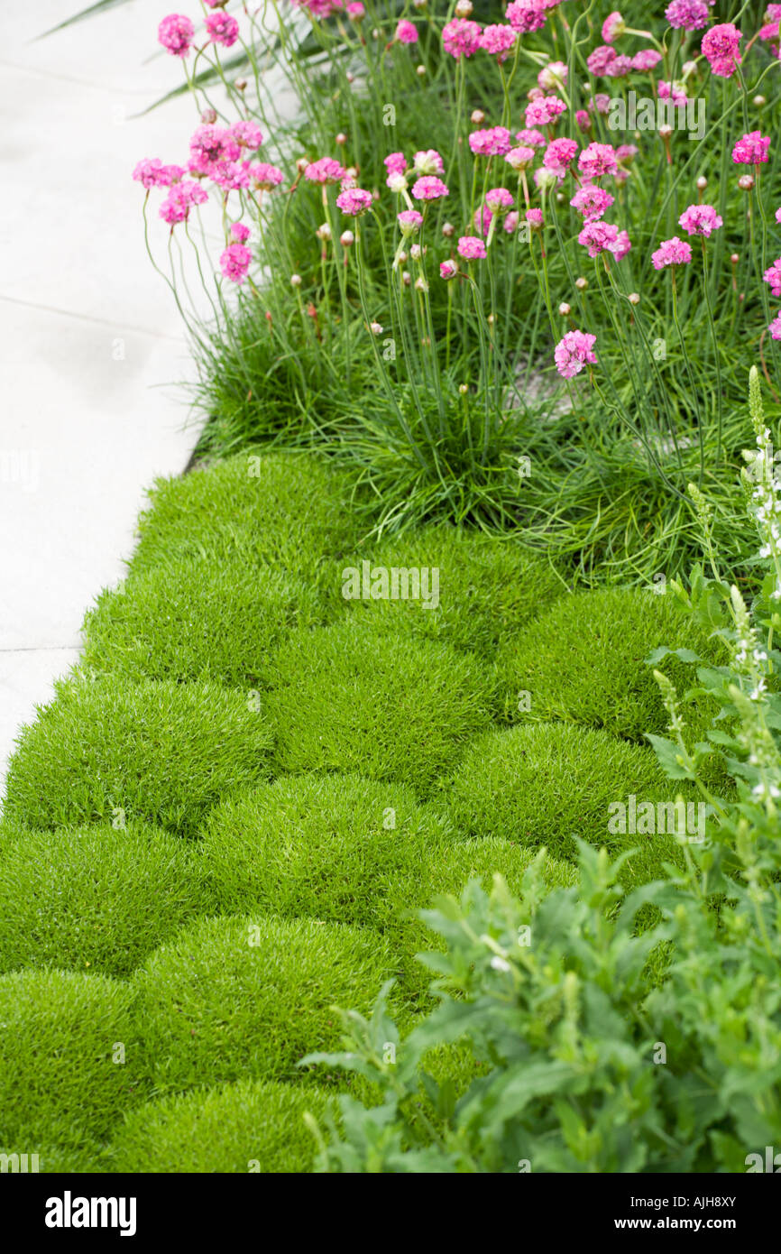 Chelsea Flower Show 2007 The Hasmead Sand and Ice Garden Linda Bush ...