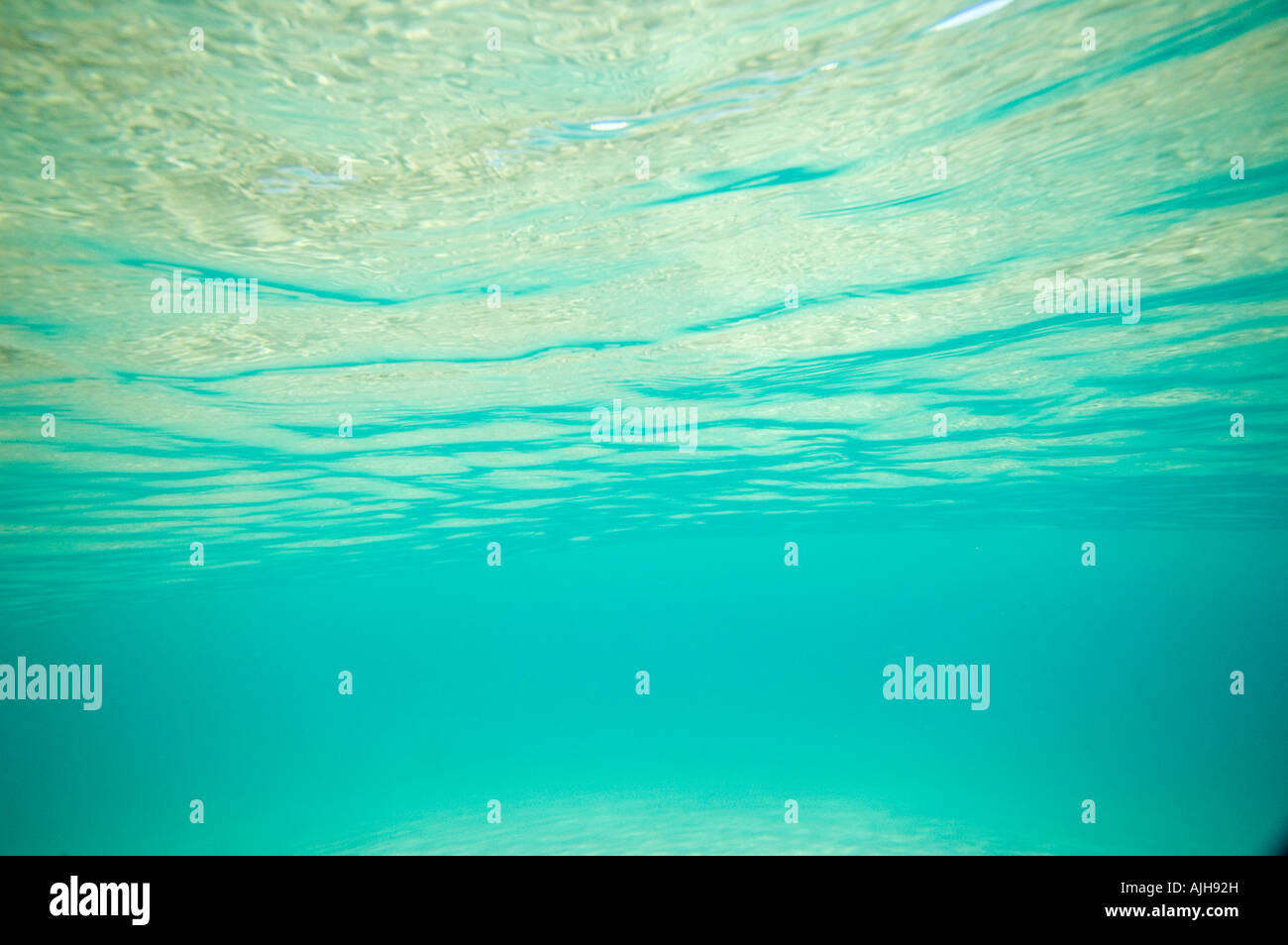 clean clear underwater ocean Stock Photo - Alamy
