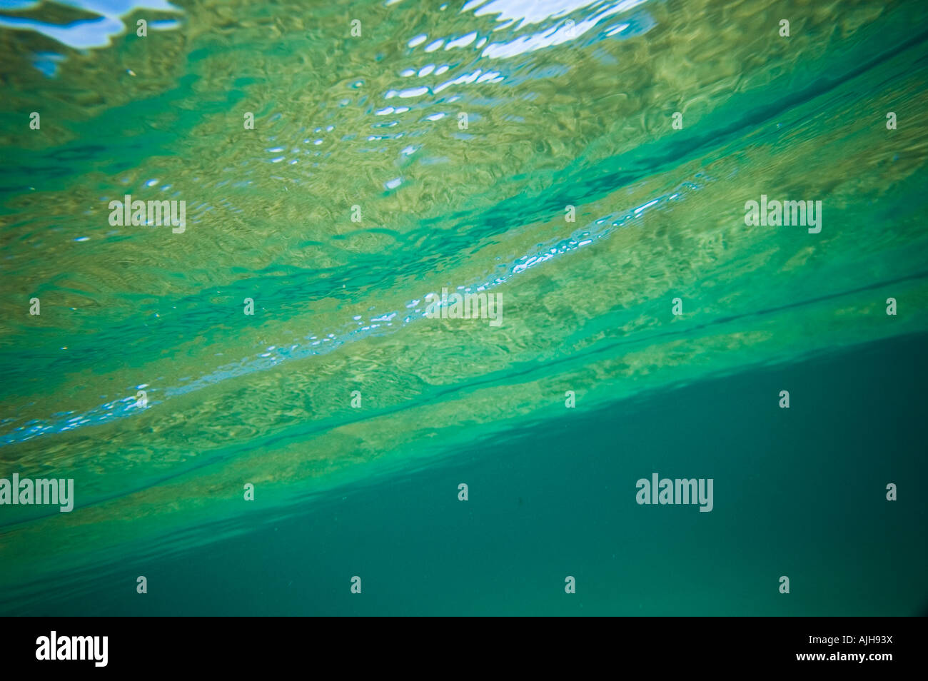 clean clear underwater ocean Stock Photo - Alamy