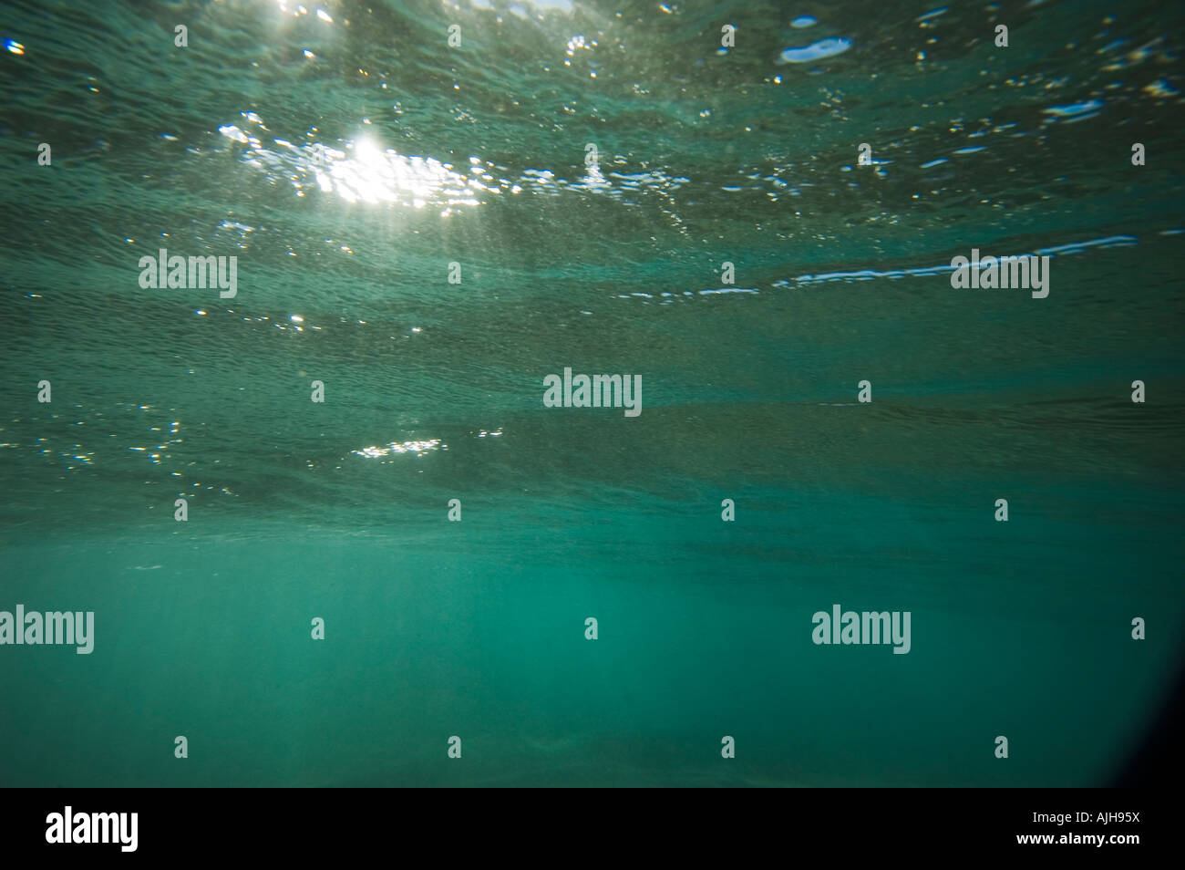 clean clear underwater ocean Stock Photo - Alamy