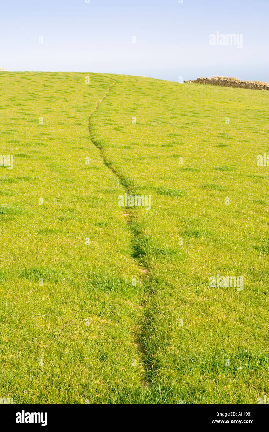 Track across field hi-res stock photography and images - Alamy