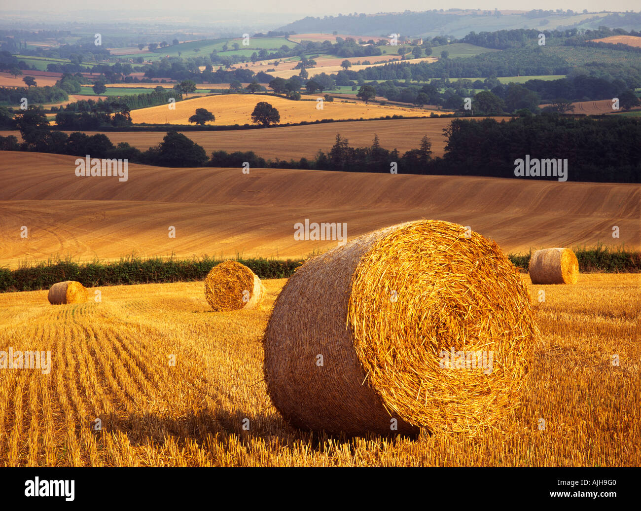 Wenlock Edge Farm Stock Photos & Wenlock Edge Farm Stock Images - Alamy