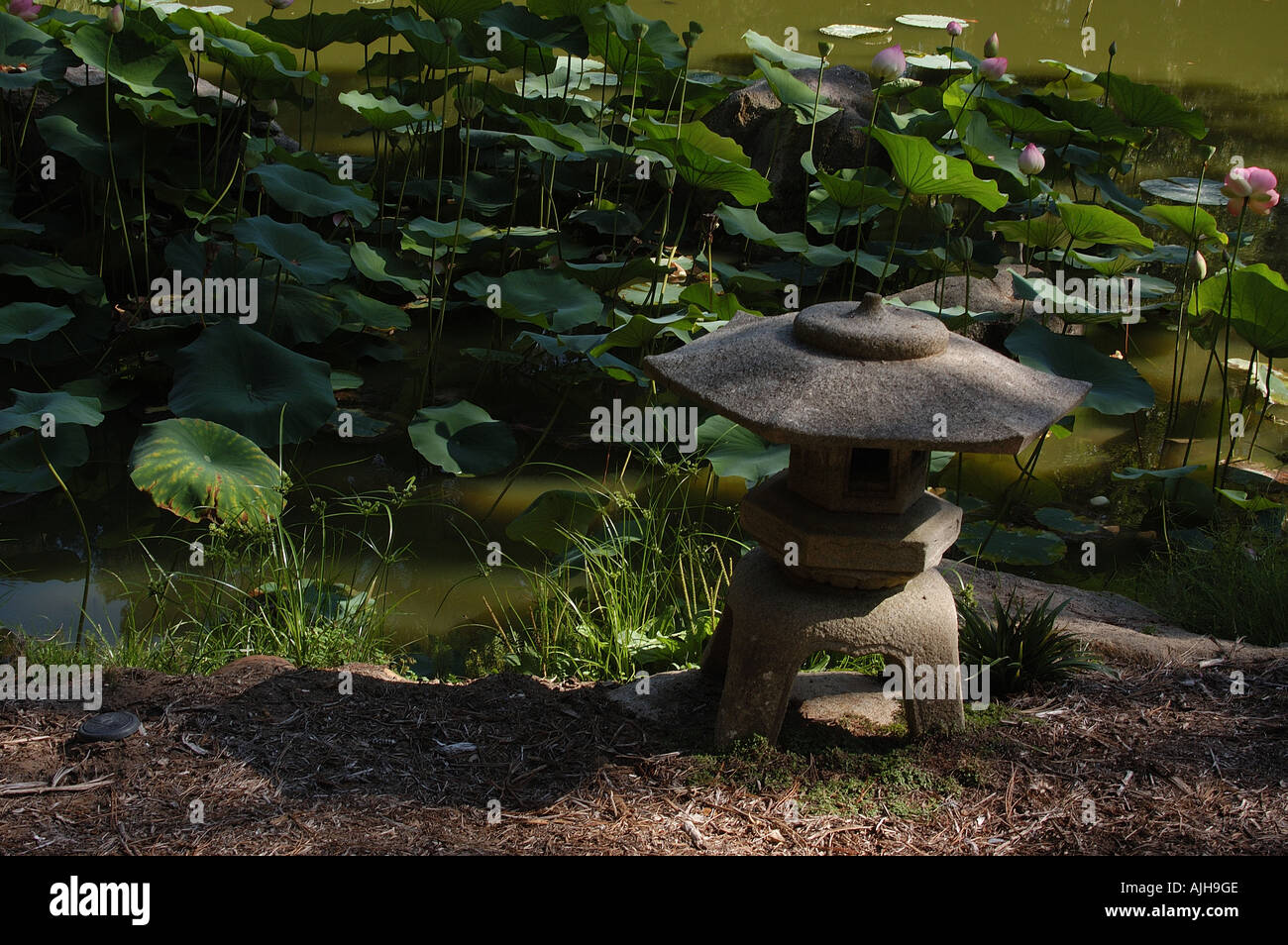 Japanese latern hi-res stock photography and images - Alamy