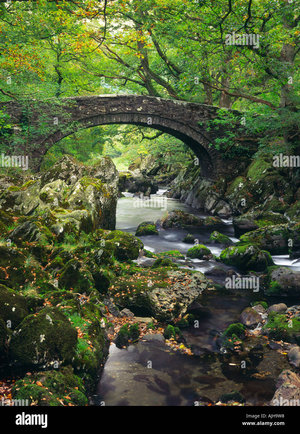 Bridge over the Afon Lledr, Snowdonia National Park, Wales, United ...