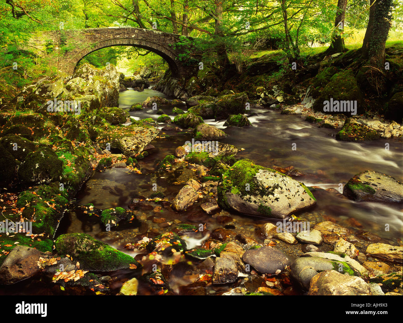Bridge over the Afon Lledr, Snowdonia National Park, Wales, United ...