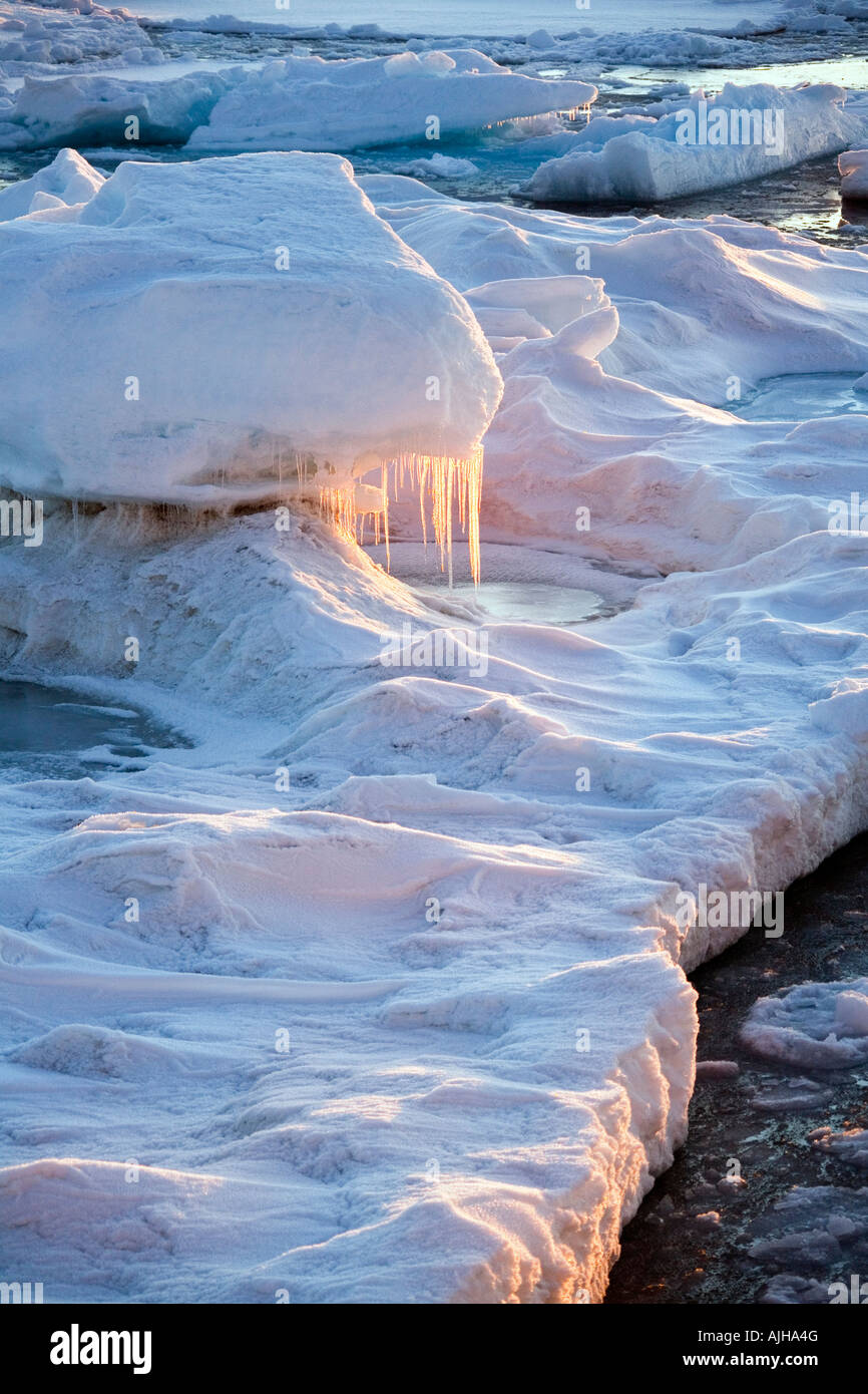 Icicles on Sea Ice Greenland Sea in the High Arctic Stock Photo - Alamy