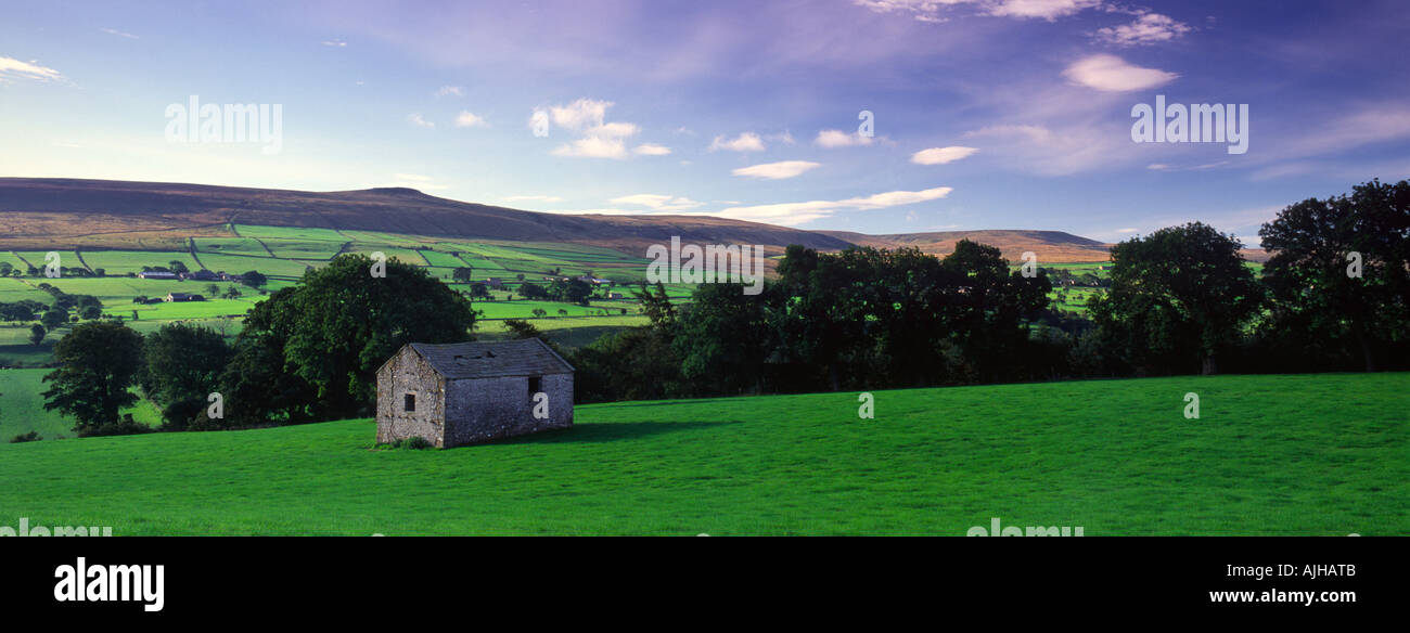 Field barn in the landscape nr Melmerby, Coverdale, The Yorkshire Dales ...