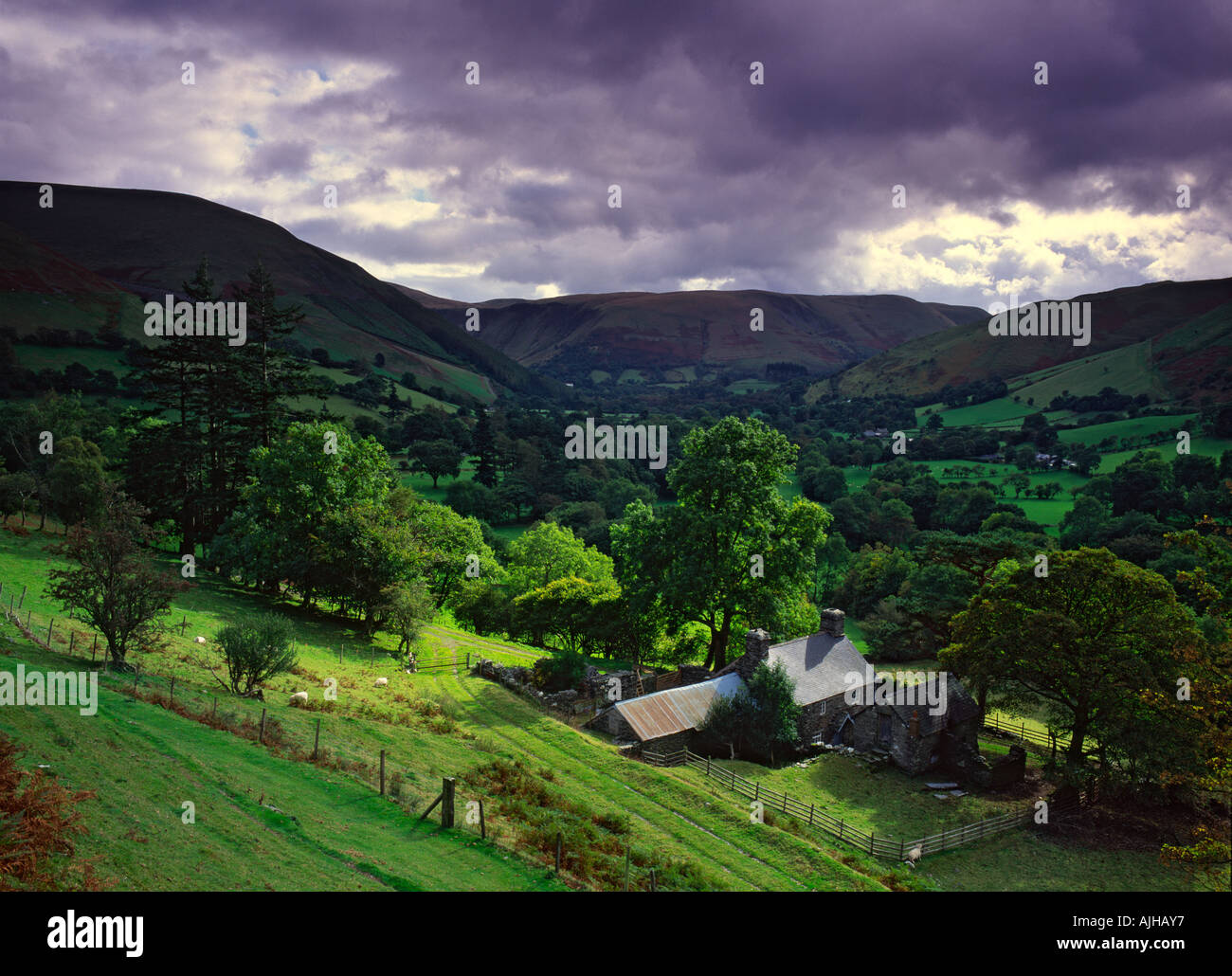 Dyfi valley hi-res stock photography and images - Alamy
