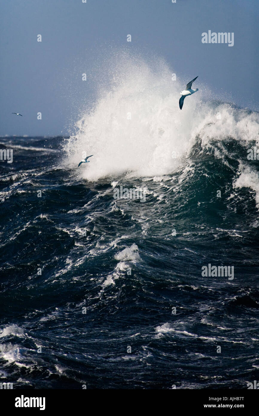 Denmark strait hi-res stock photography and images - Alamy