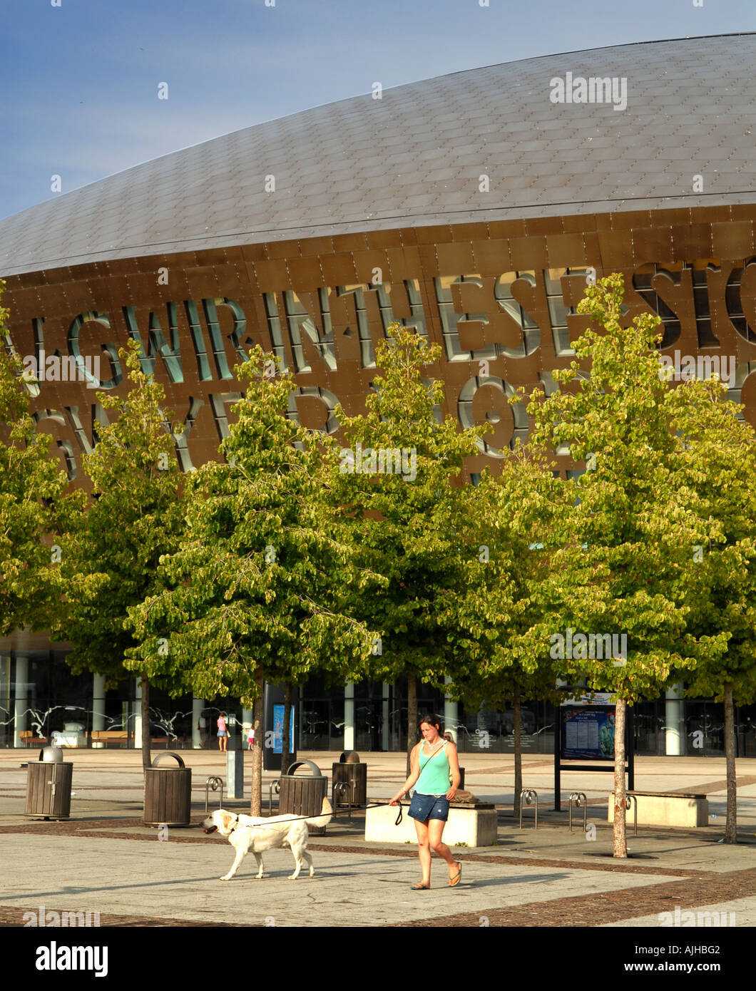 Millennium centre, Cardiff bay, Wales Stock Photo - Alamy