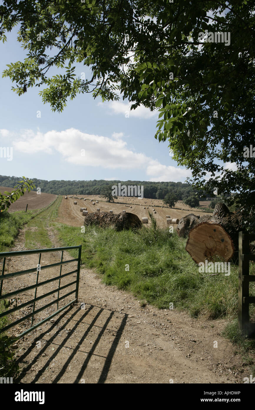 A valley in the cotswolds in late summer near Sudeley Castle at ...