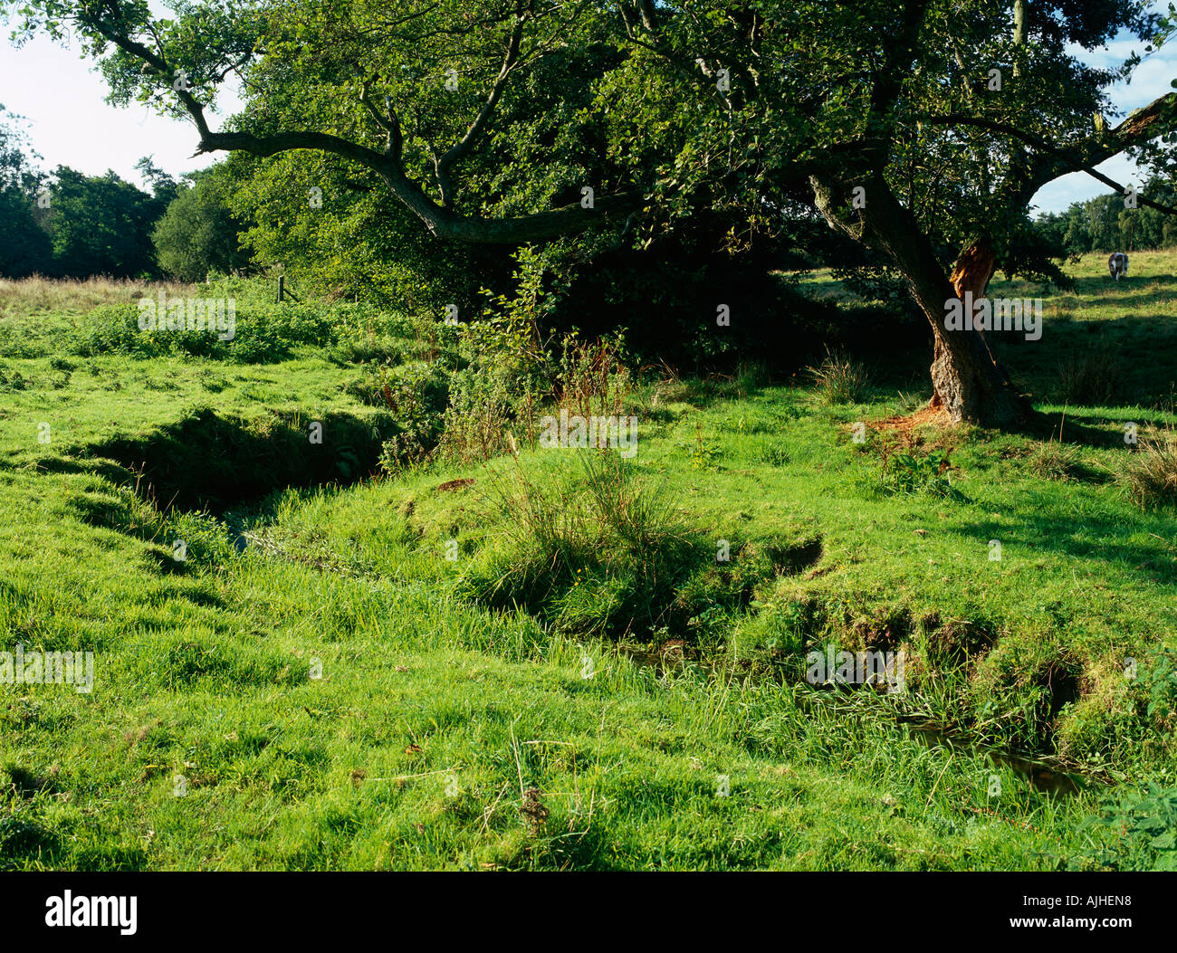 Newtown National Trust High Resolution Stock Photography and Images - Alamy