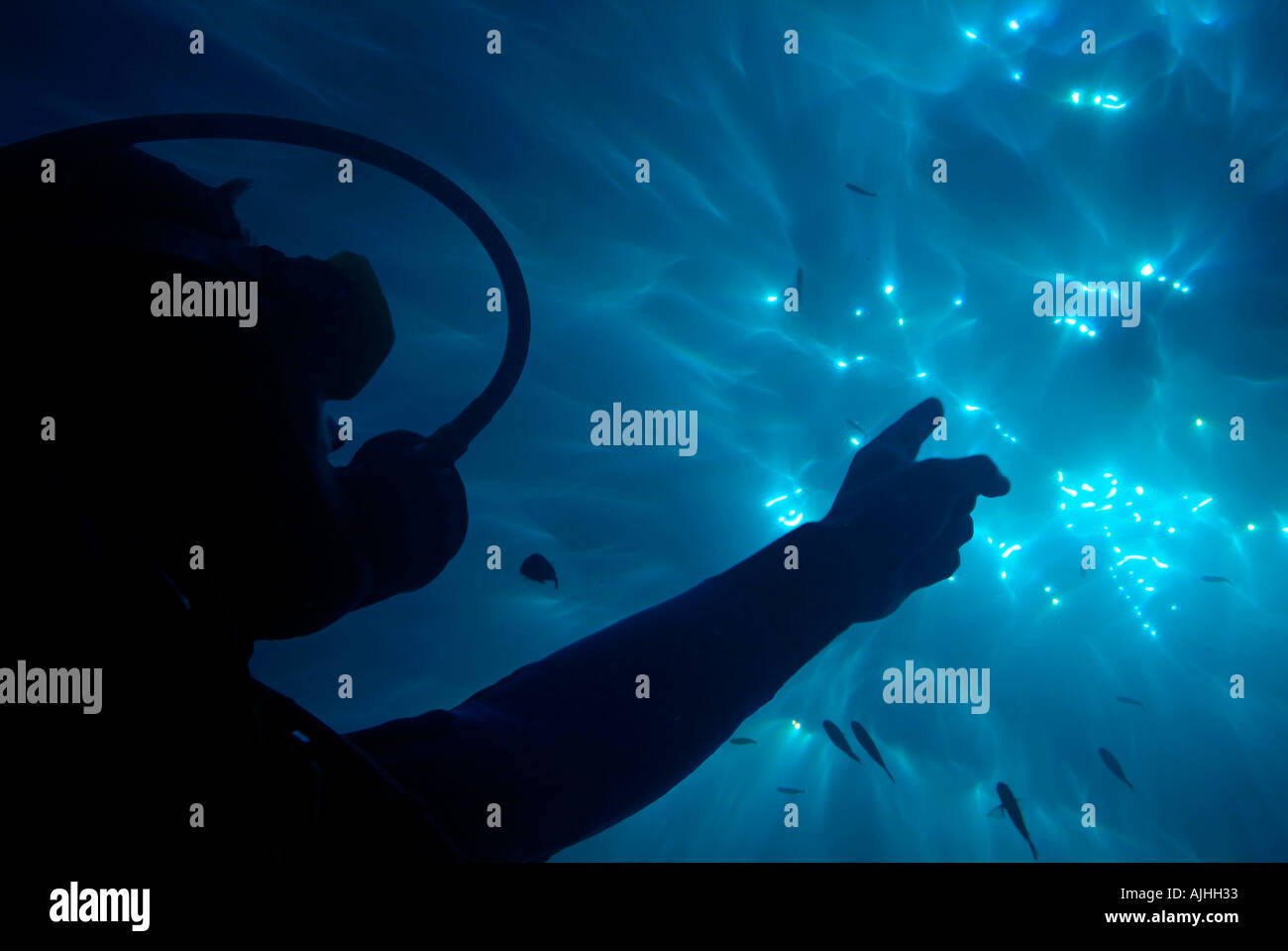 Pointing underwater hi-res stock photography and images - Alamy