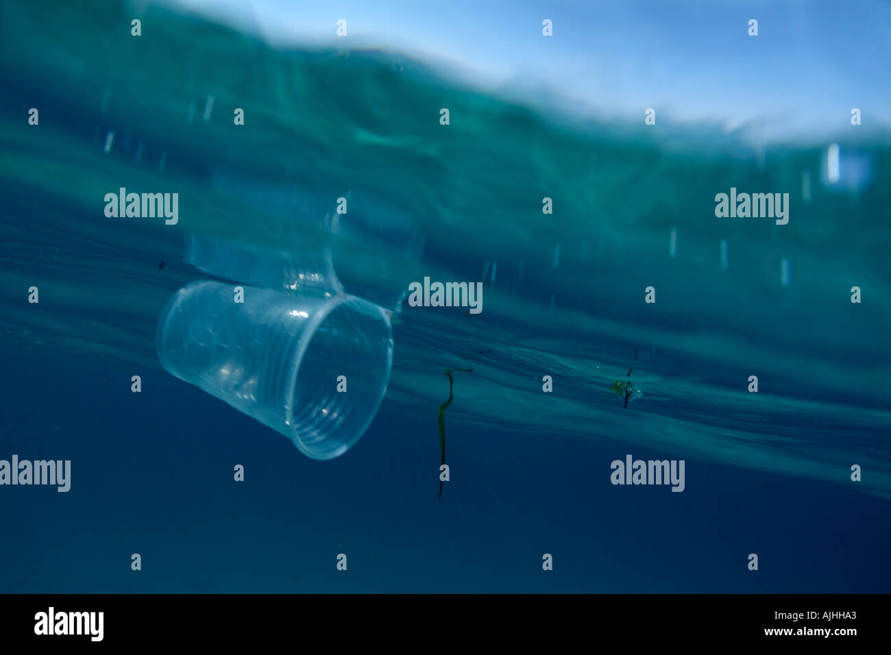A plastic cup floating at the ocean surface Stock Photo - Alamy