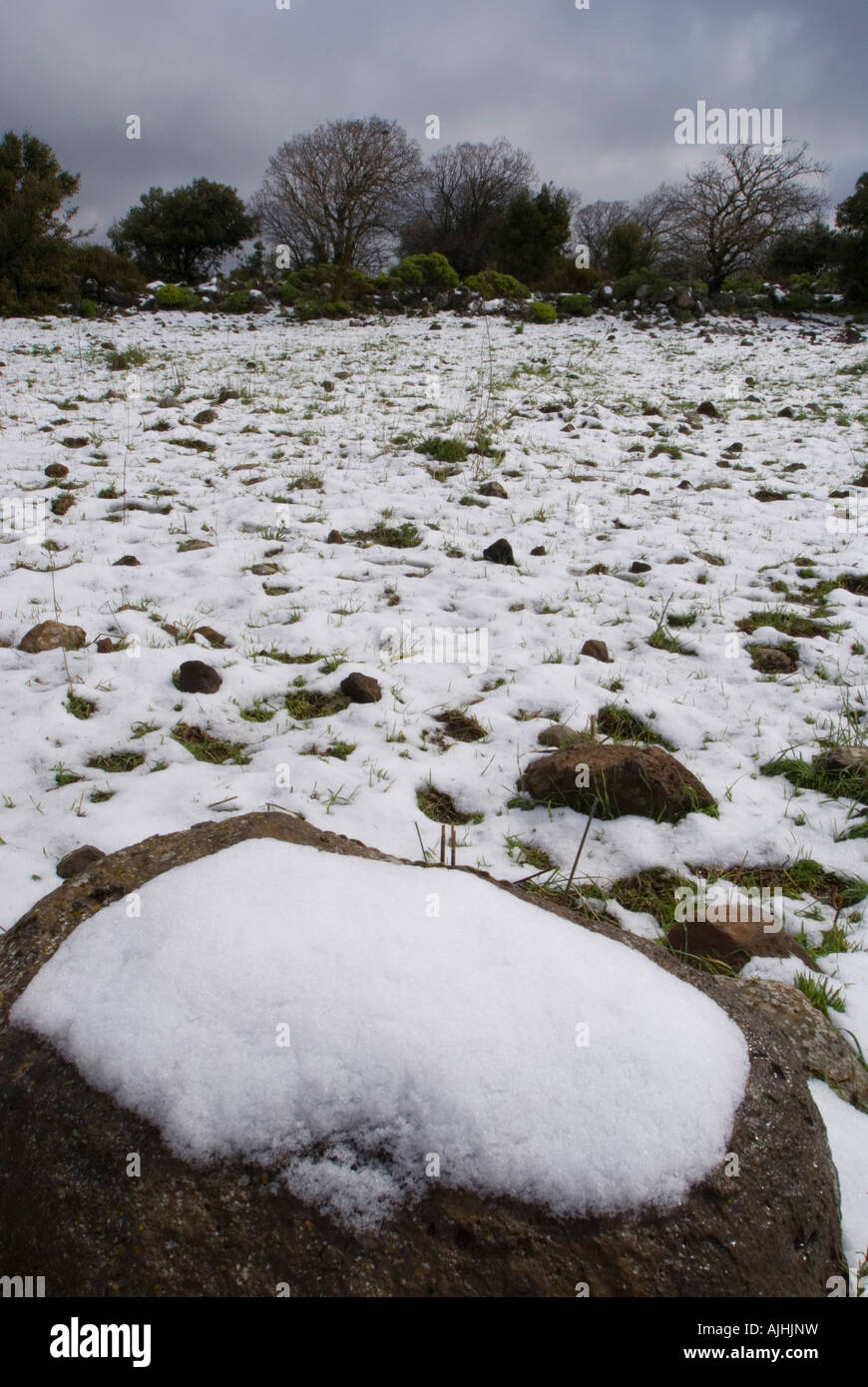 Landscape in snow Stock Photo - Alamy