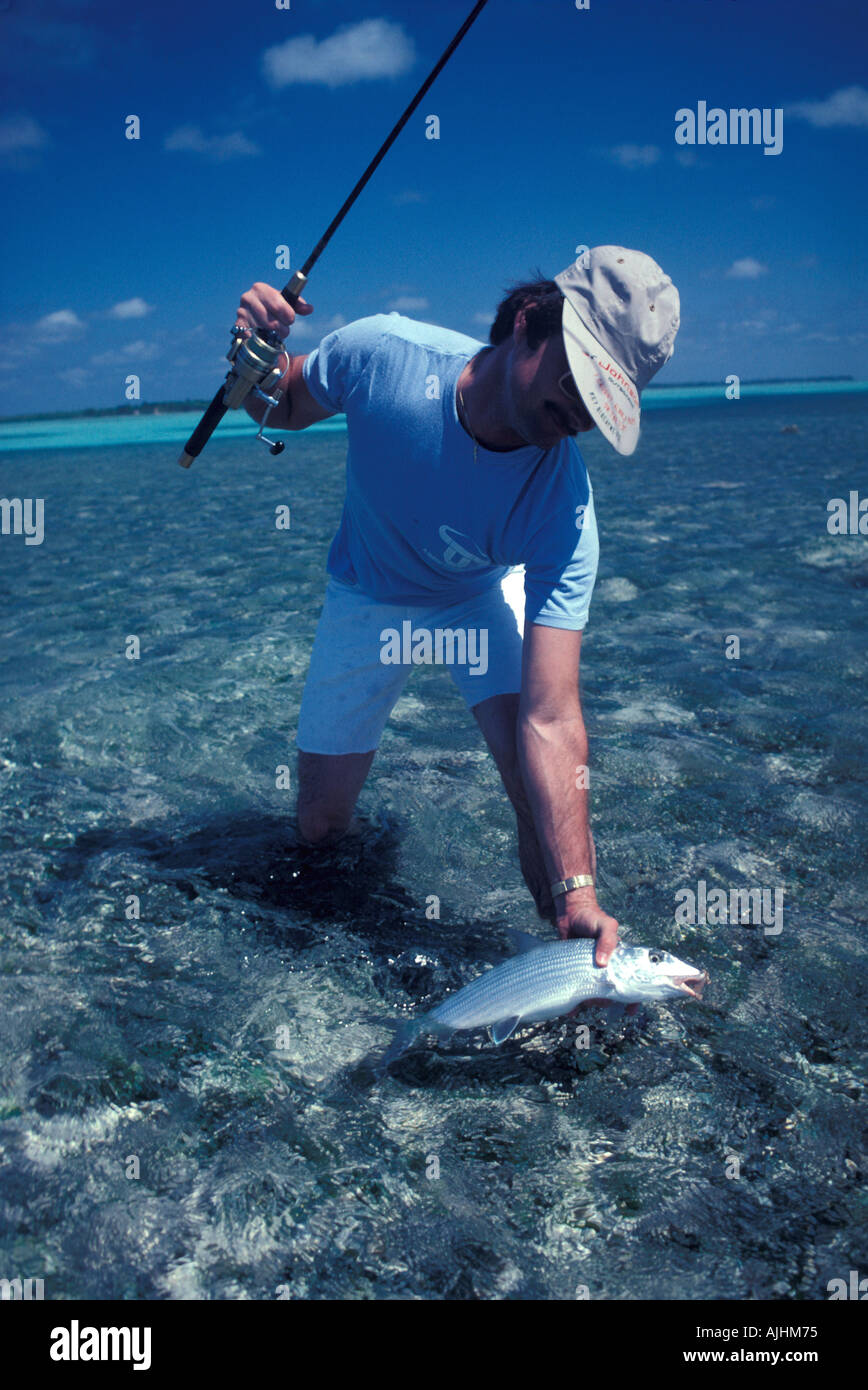 Bonefishing hi-res stock photography and images - Alamy