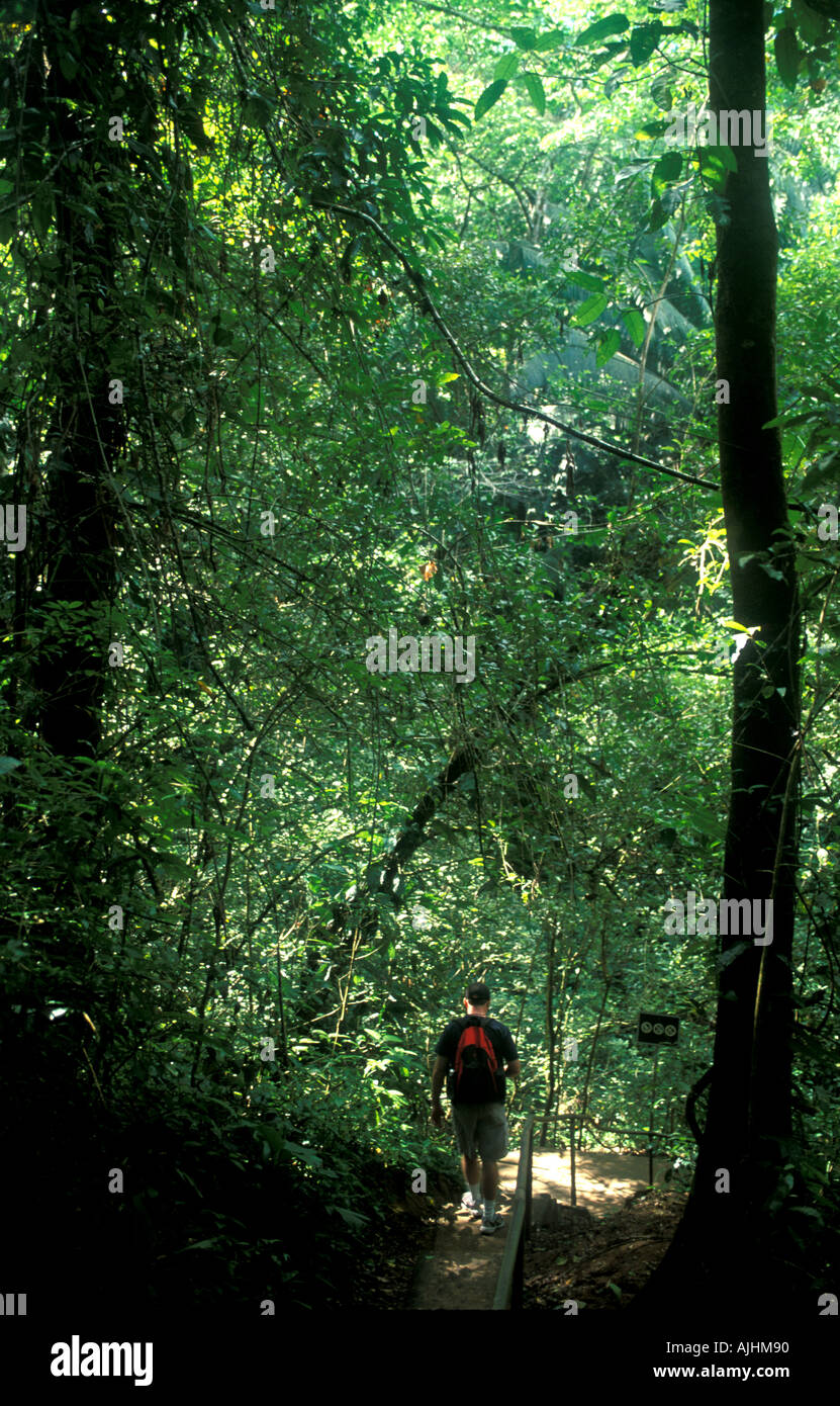 Belize Central America hiking Blue Hole National Park jungle walk hike ...