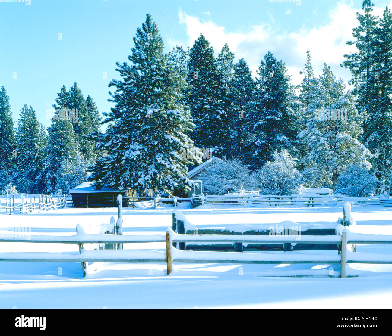 Rustic branches fence hi-res stock photography and images - Alamy