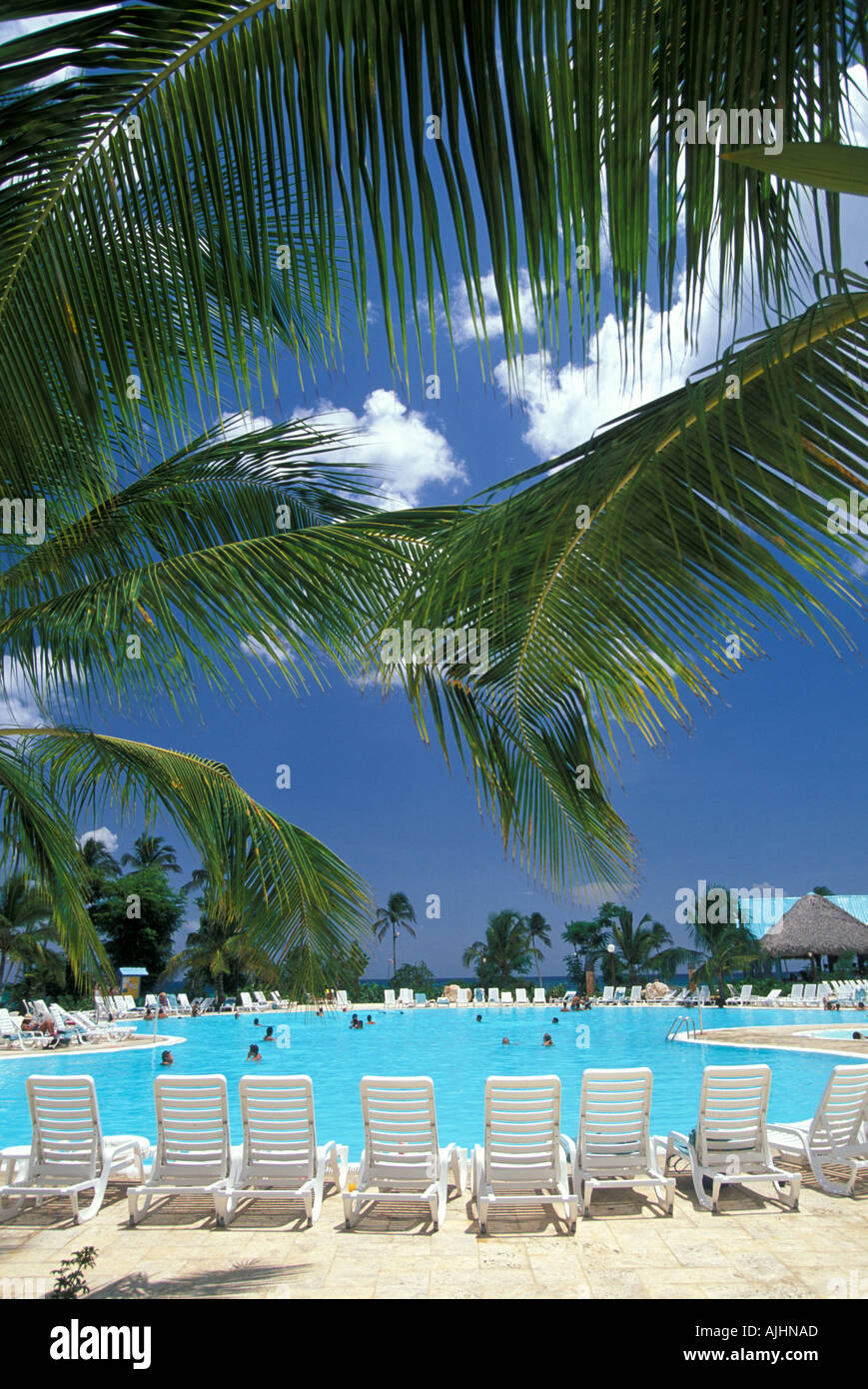 Dominican Republic colorful swimming pool coconut palm fronds beach ...