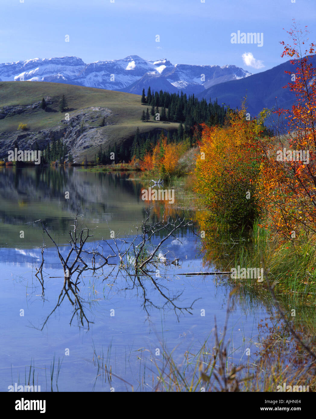 Talbot lake in jasper national park hi-res stock photography and images ...