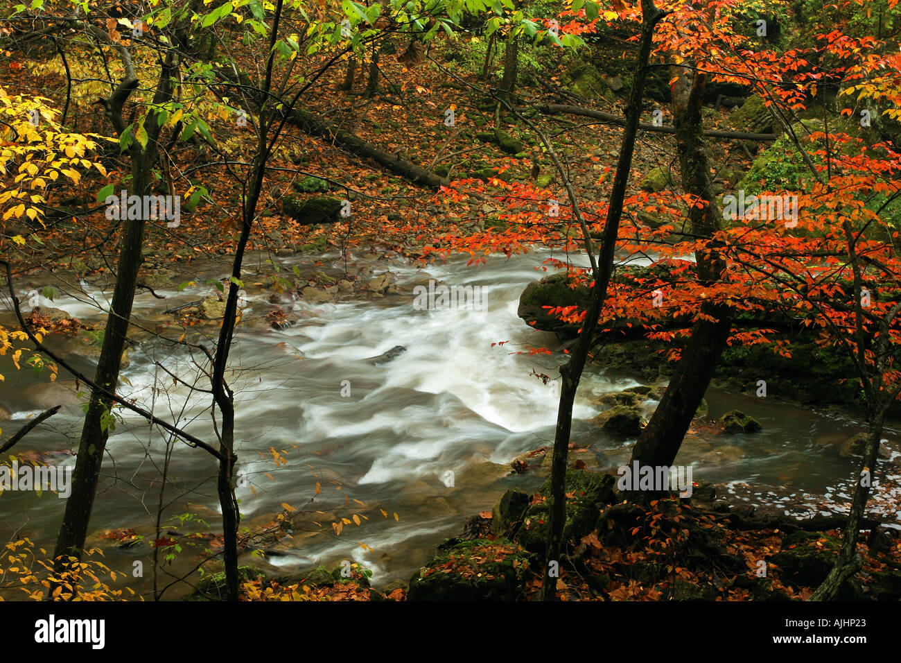 A river with rapids running through a gorge in the midwestern United ...