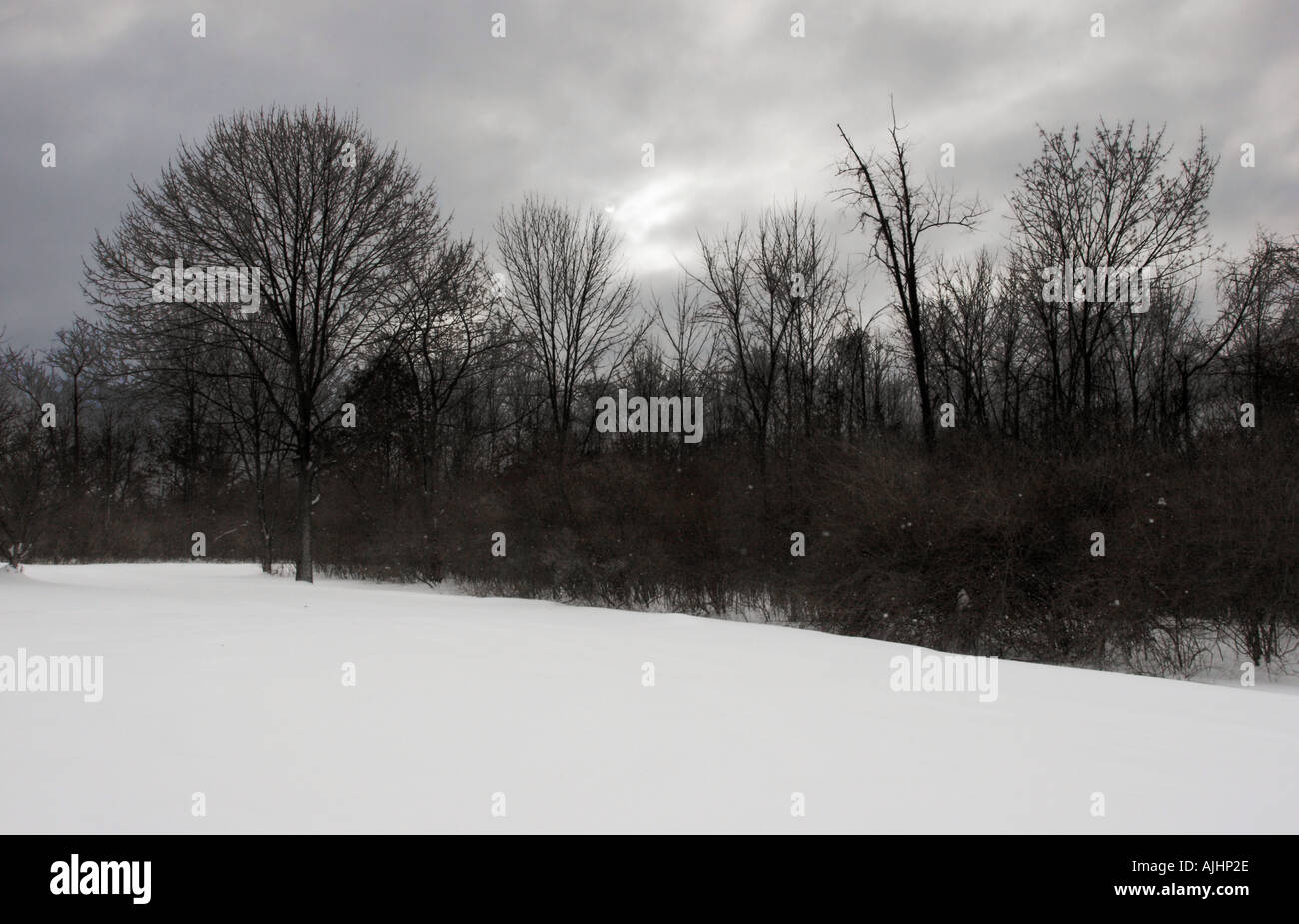 Heavy tree hill hi-res stock photography and images - Alamy