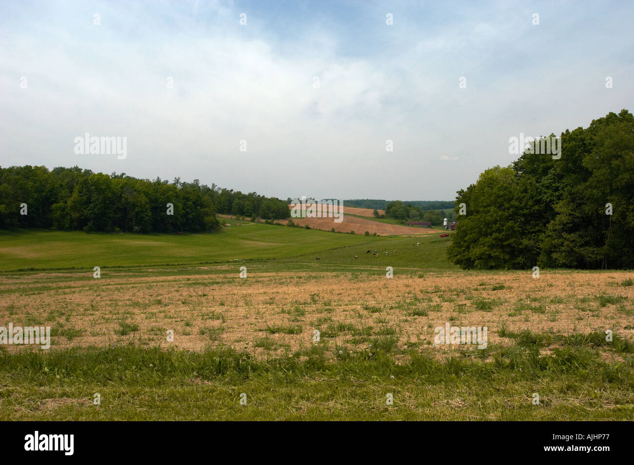 Ohio farm land trees hi-res stock photography and images - Alamy