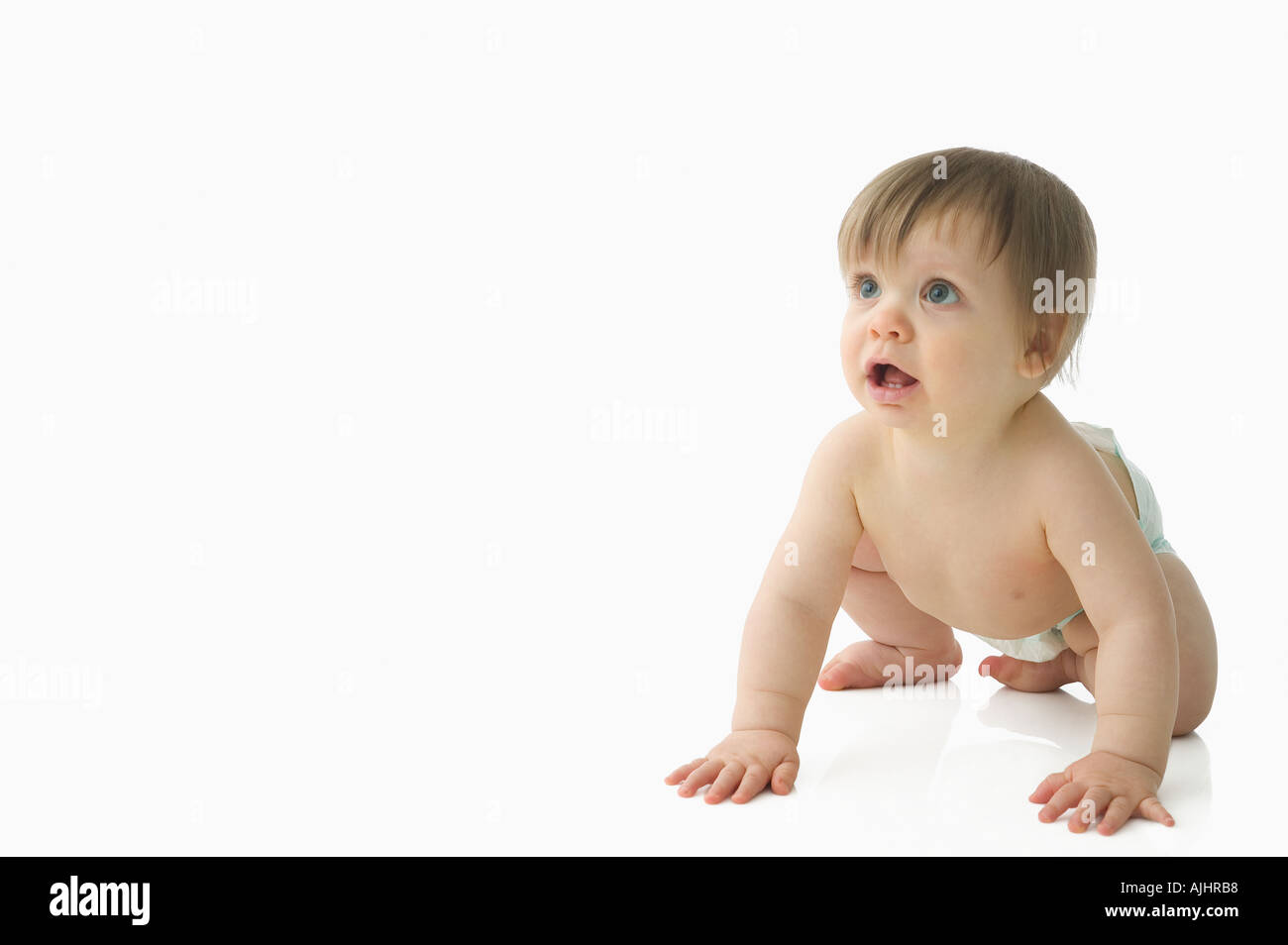 Baby youngster juvenile Cut Out Stock Images & Pictures - Alamy