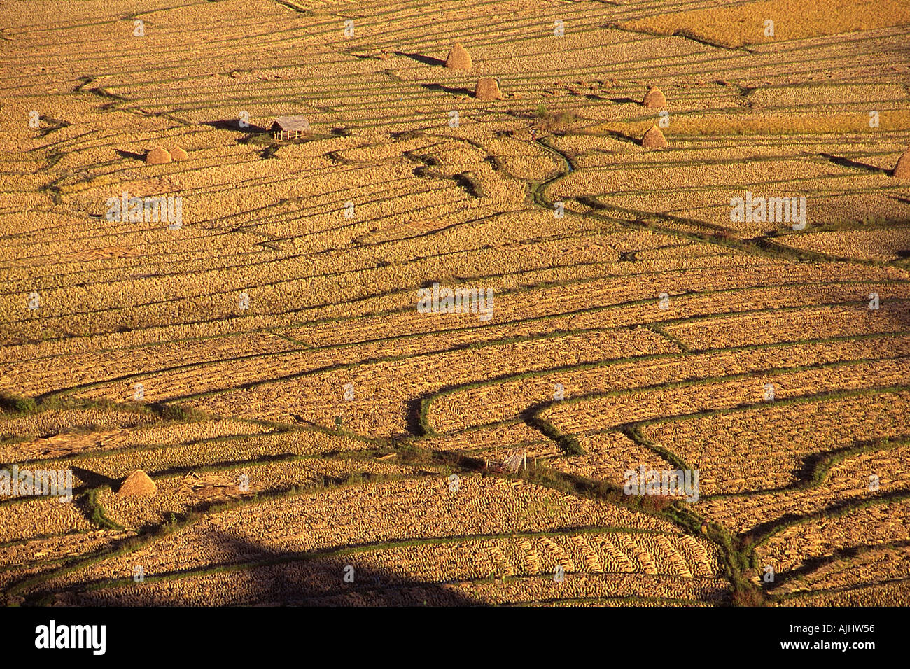 Kentung hi-res stock photography and images - Alamy