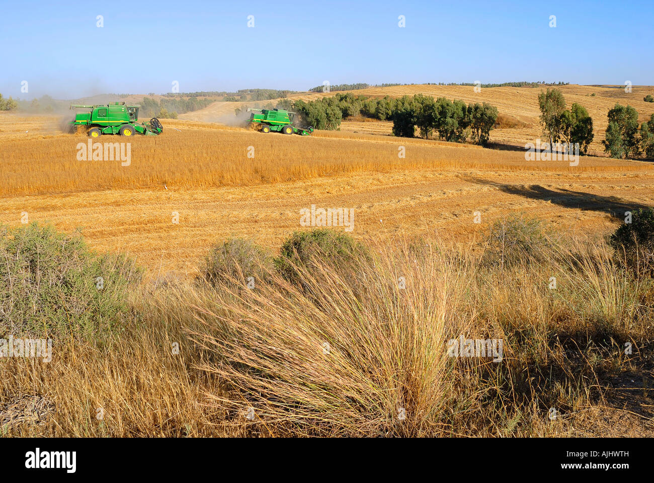 Ruhama hi-res stock photography and images - Alamy