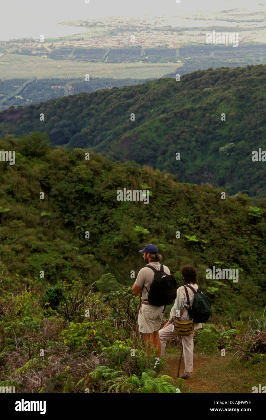 people, tourists, hiker, hikers, hiking trail, hiking, between ...