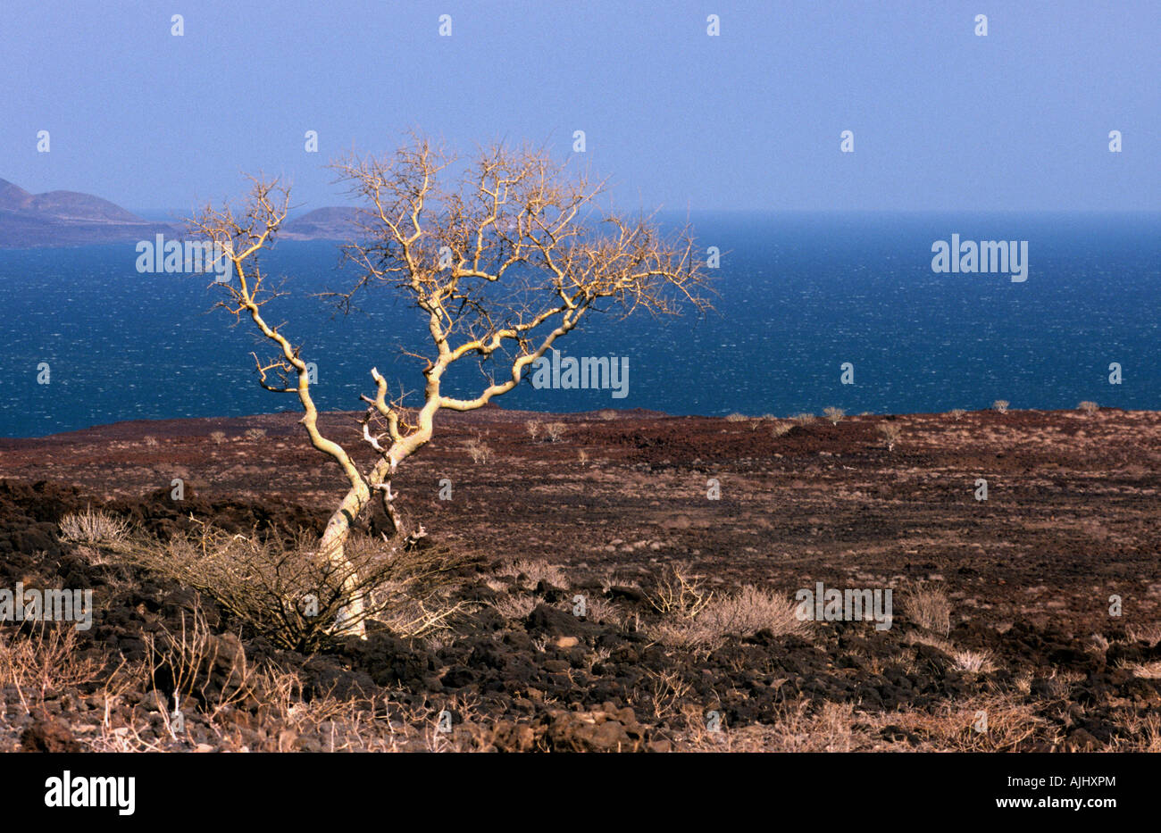 Arid landscape. Lake Turkana, Kenya Stock Photo - Alamy