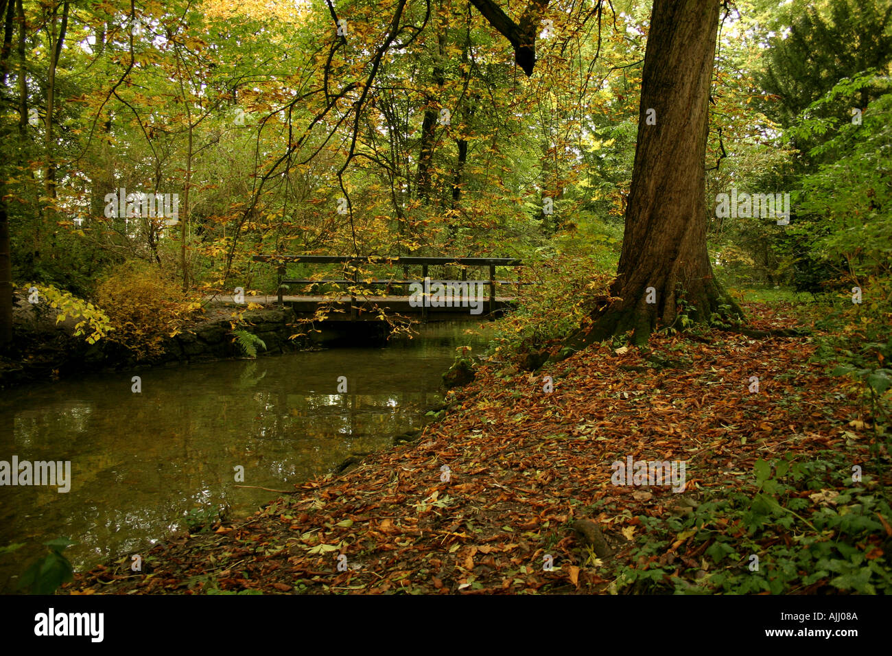 Landscape, English Garden, Munich, Germany Stock Photo - Alamy