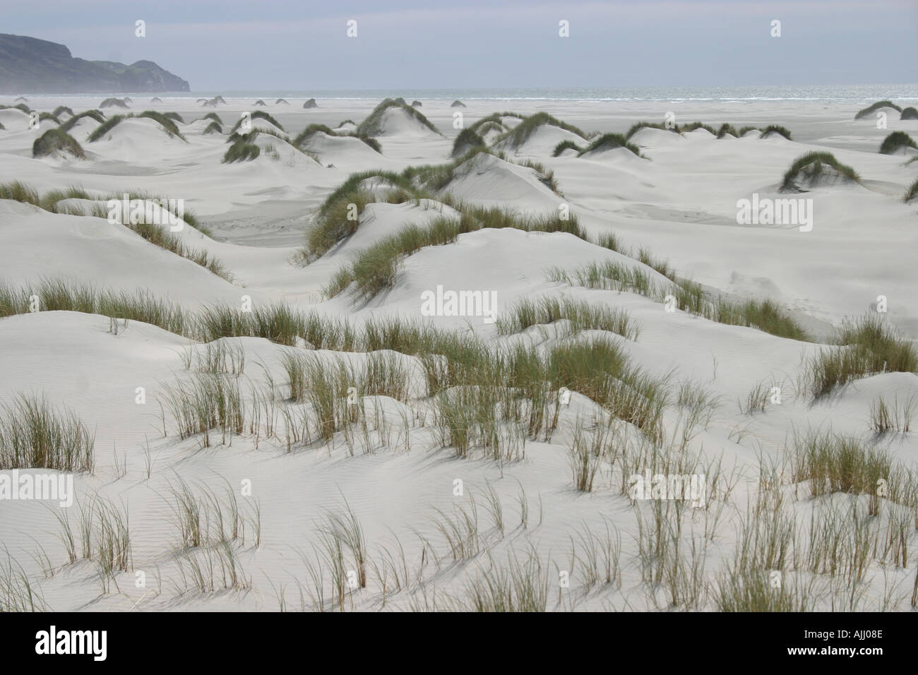 Farewell Spit the northern most point of the South Island and longest ...