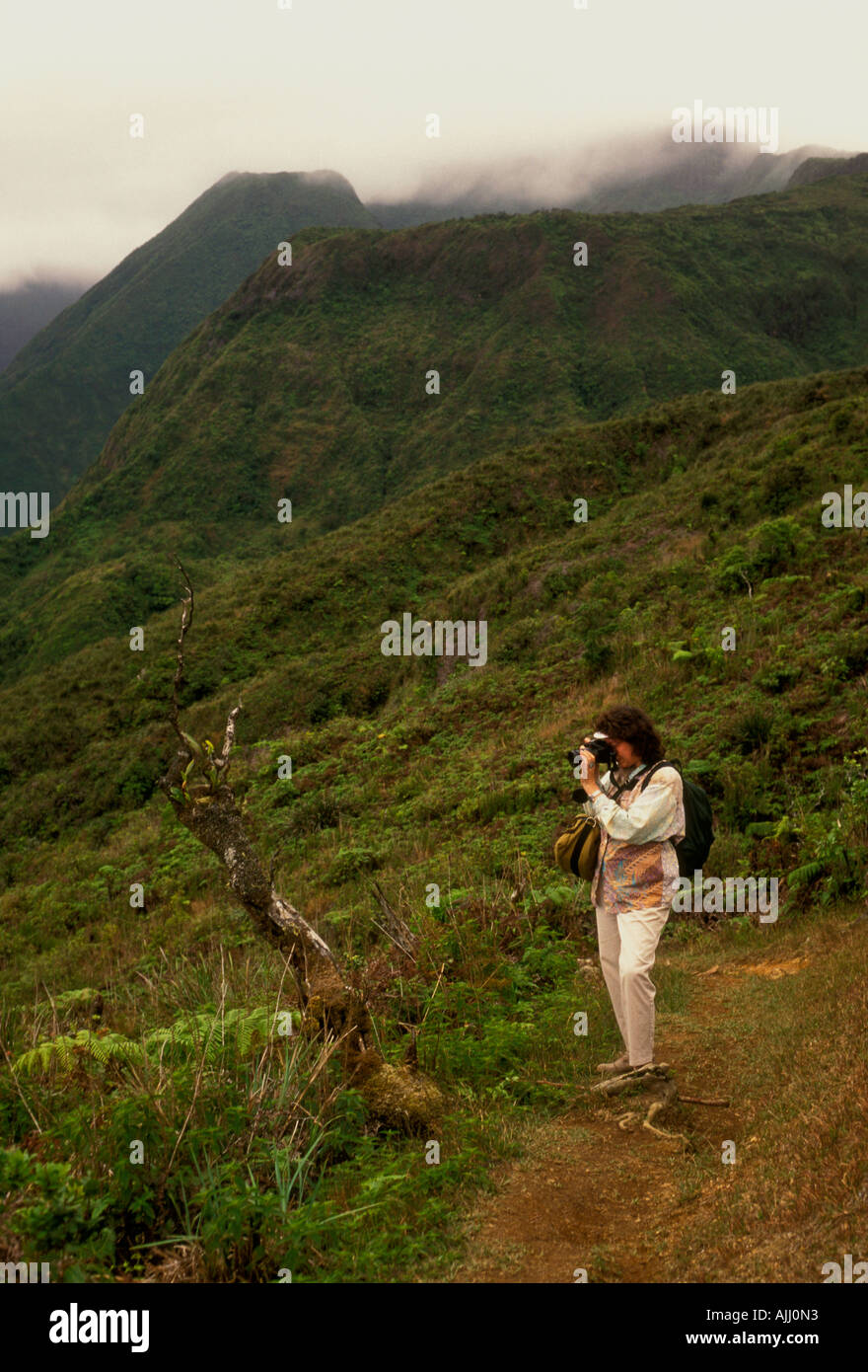 people, tourist, adult woman, hiker, hiking trail, hiking, between ...
