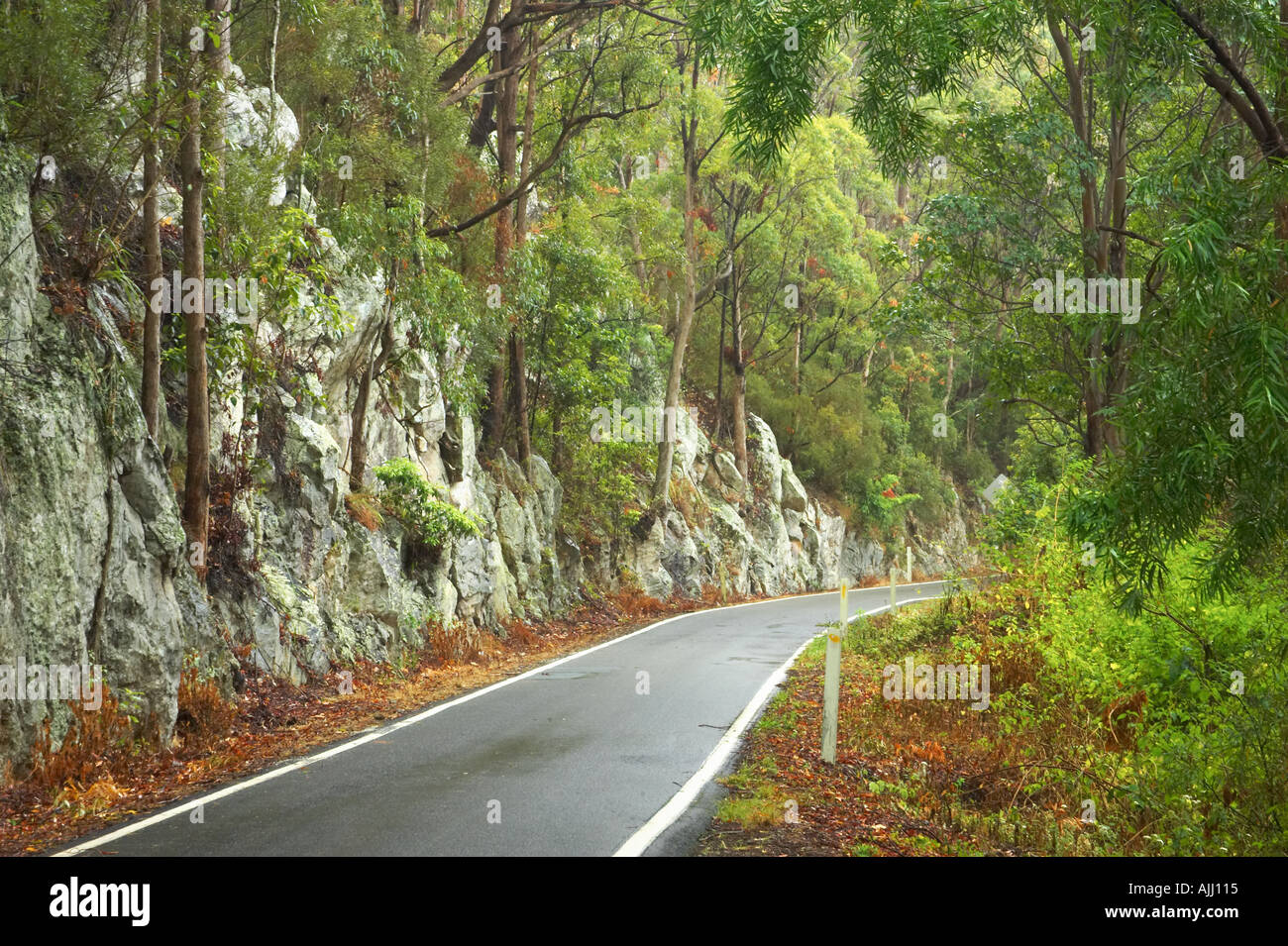 Road to Springbrook National Park Gold Coast Hinterland Queensland ...
