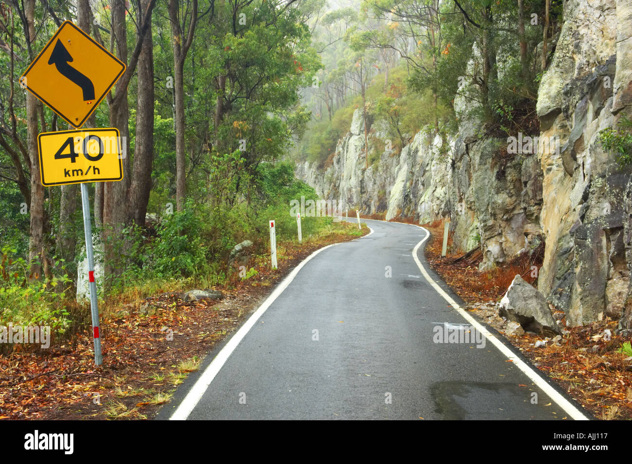 Road to Springbrook National Park Gold Coast Hinterland Queensland ...