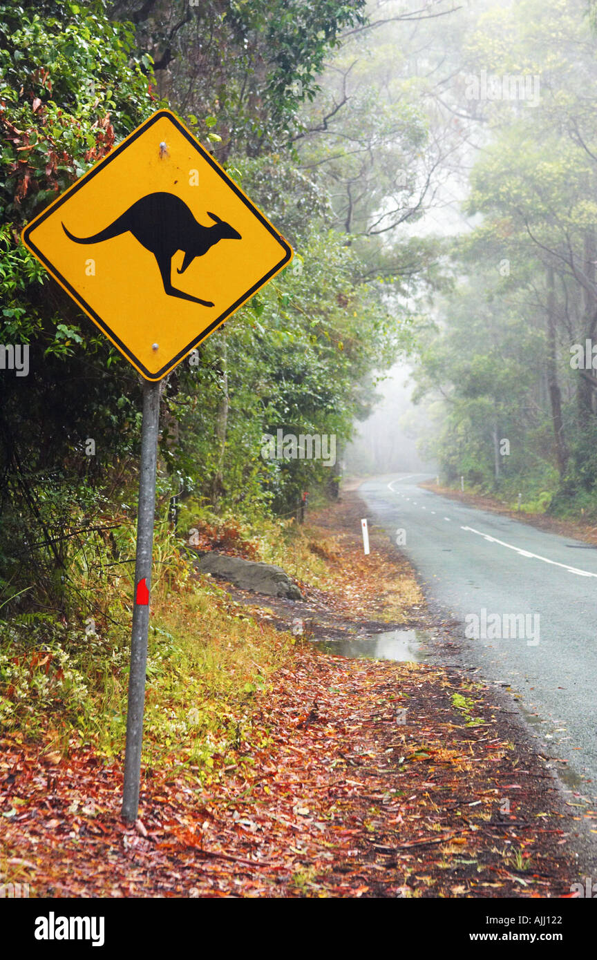 Kangaroo Sign and Road to Springbrook National Park Gold Coast ...