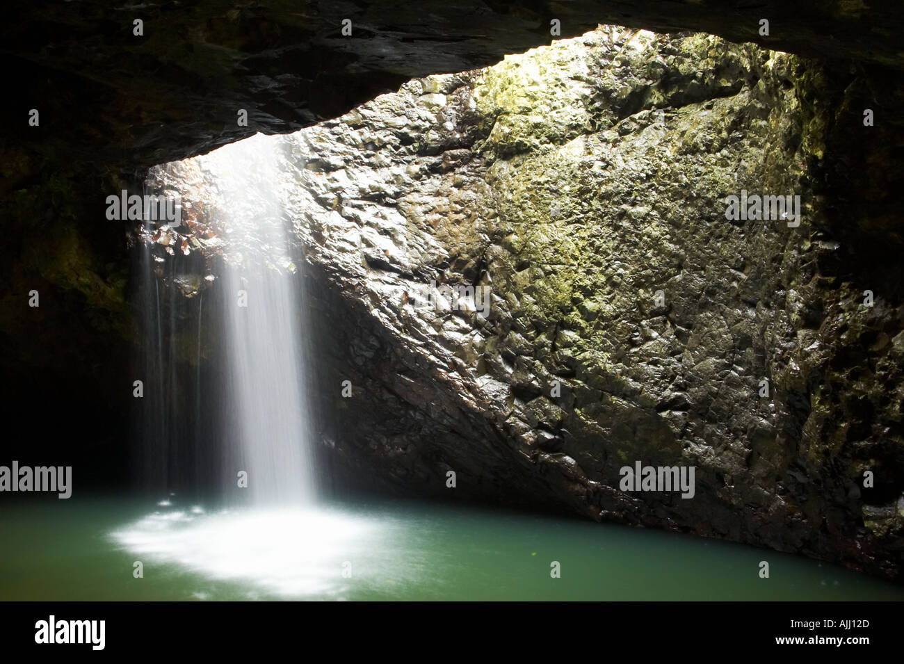 Natural Bridge Waterfall Springbrook National Park Gold Coast ...