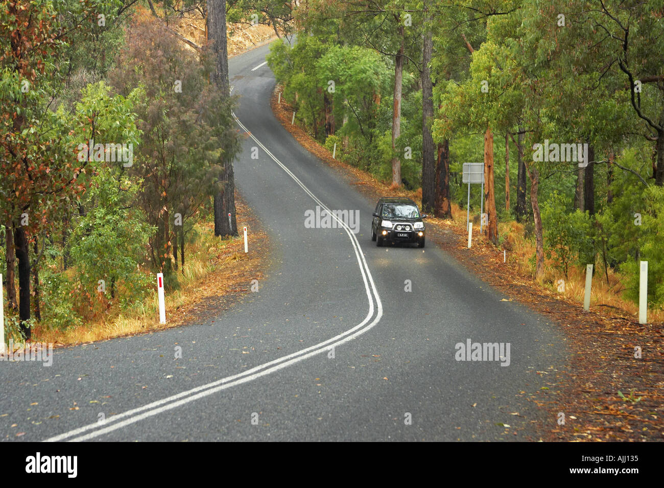 Road through Numinbah State Forest Gold Coast Hinterland Queensland ...