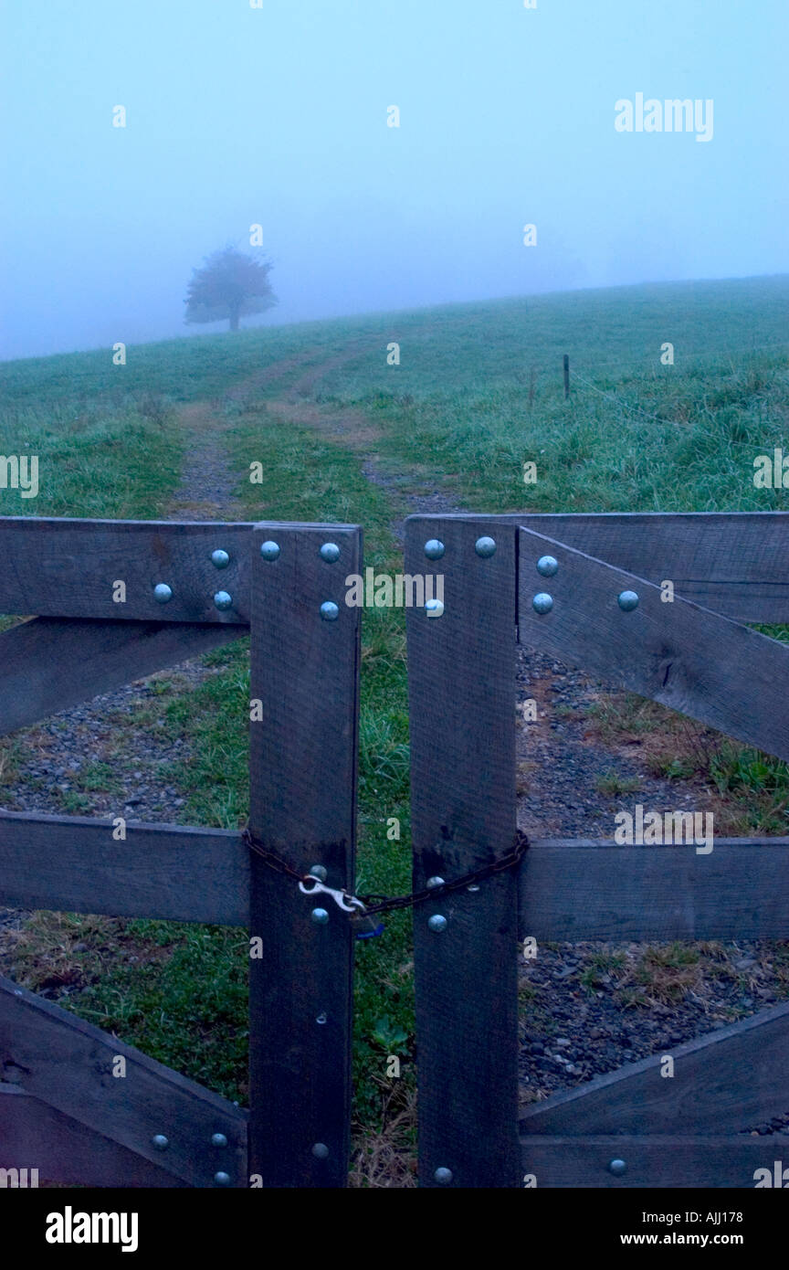 Gate in Fog Stock Photo - Alamy
