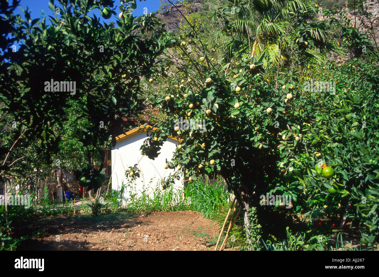 farmhouse and Mediterranean farming Turkey Stock Photo - Alamy