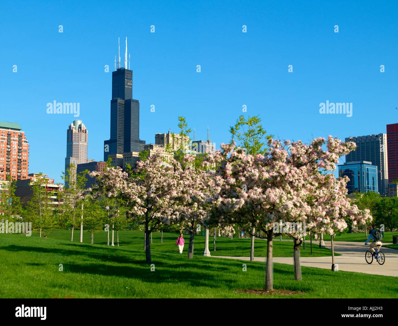 Chicago skyline sears tower spring hi-res stock photography and images ...
